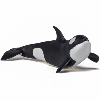 Figurina Papo - Universul acvatic, Pui Balena Ucigasa