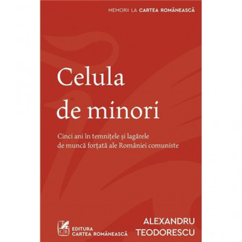 Celula de minori, Alexandru Teodorescu