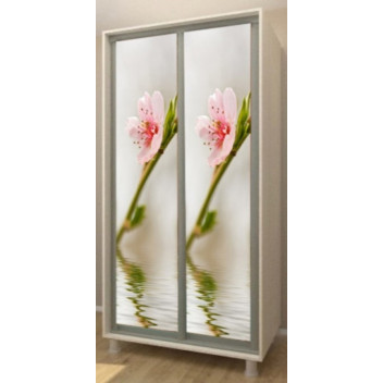 Dulap cu usi glisante Bafimob D-120 Sakura Shamoni